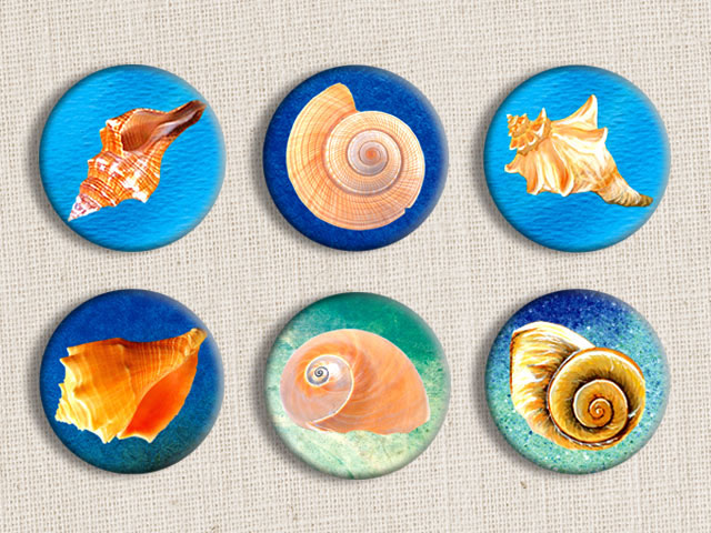 Sea Shells Digital Rounds Printables 1 Inch 2.54 cm Collage Sheet Sea ...